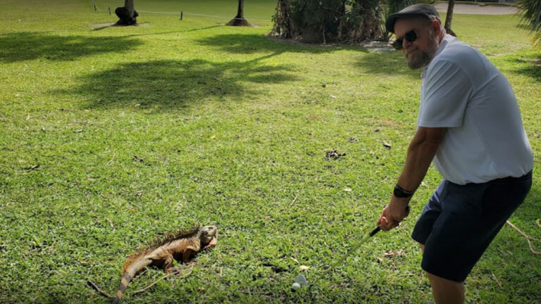 3 Best Golf Courses in Pompano Beach, FL (2026)